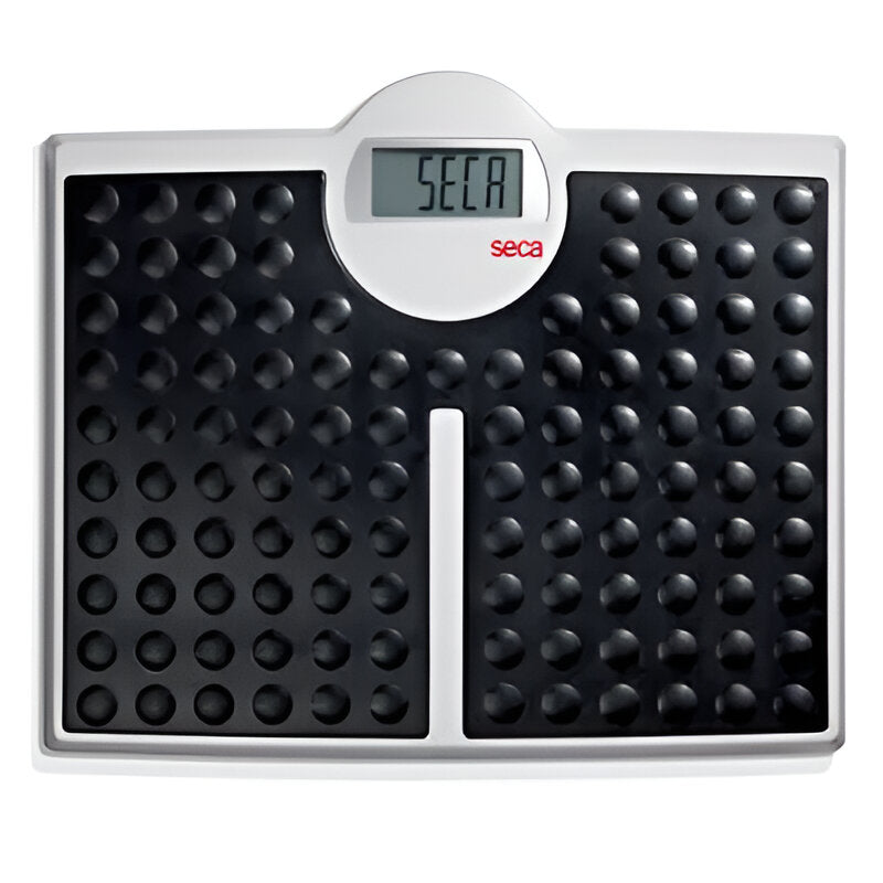 Seca 813 Flat Scale Electronic 200kg – Rehab Technology